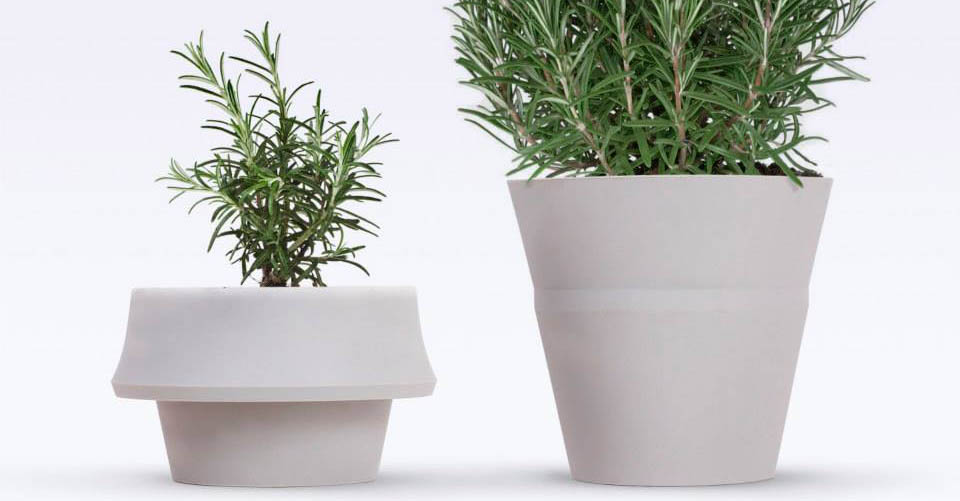 もう鉢のサイズ選びで悩まない！植物と一緒に成長するプランター「fold pot」 | 家庭菜園ウェブマガジン「おうち菜園」